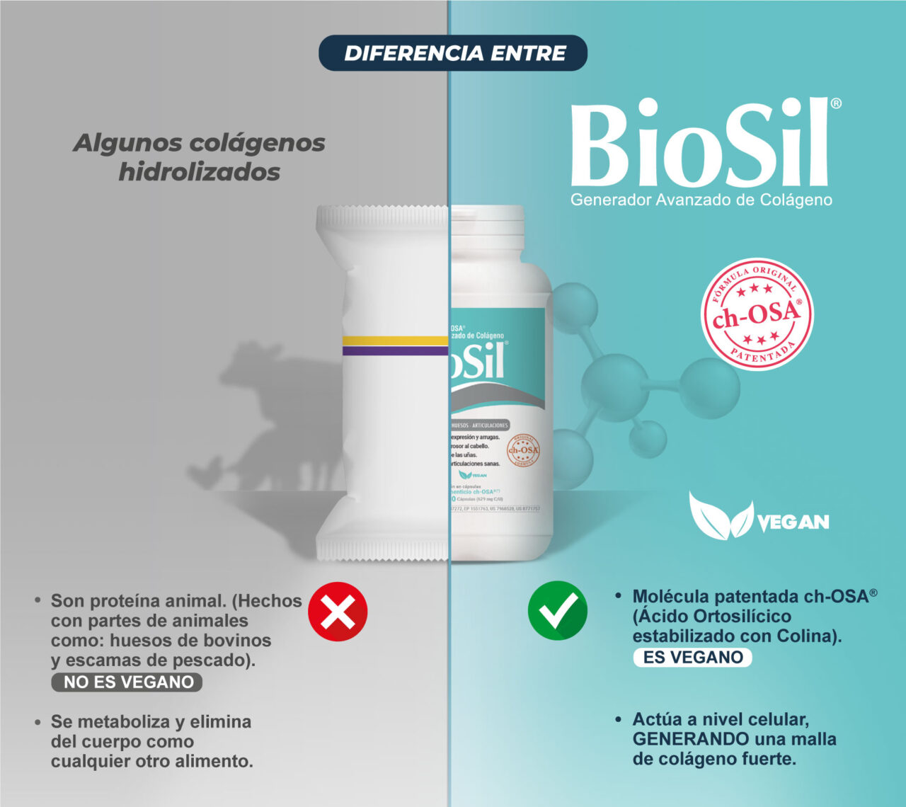BioSil Ecuador | Único Generador Avanzado de Colágeno